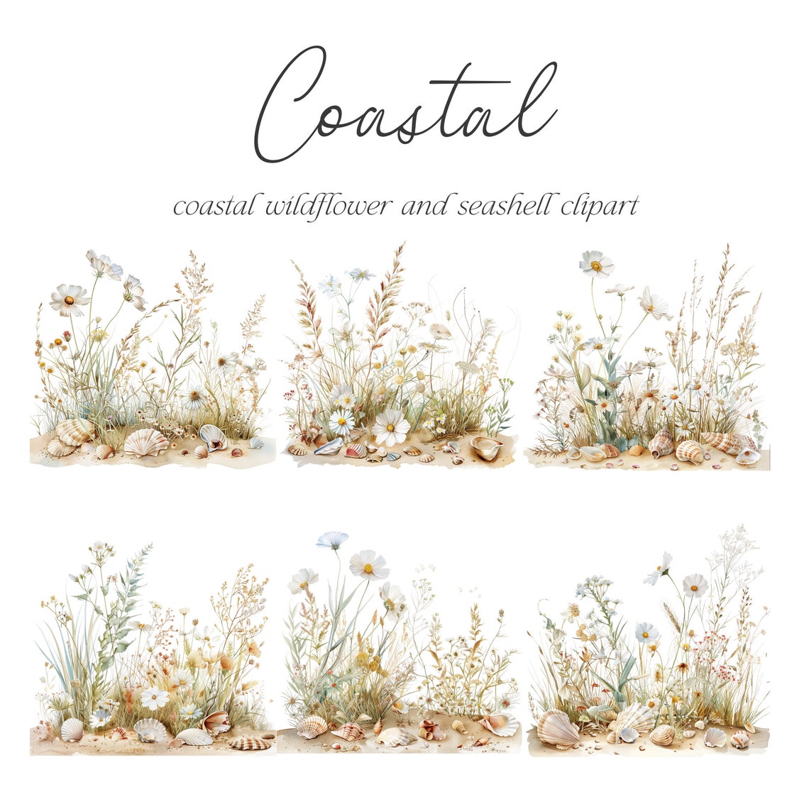 Coastal Wildflower and Seashell Clip Art, Watercolor Beach Clipart ...