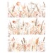 Boho Wildflower Borders, Bohemian Style Wildflower Borders, Wildflower ...