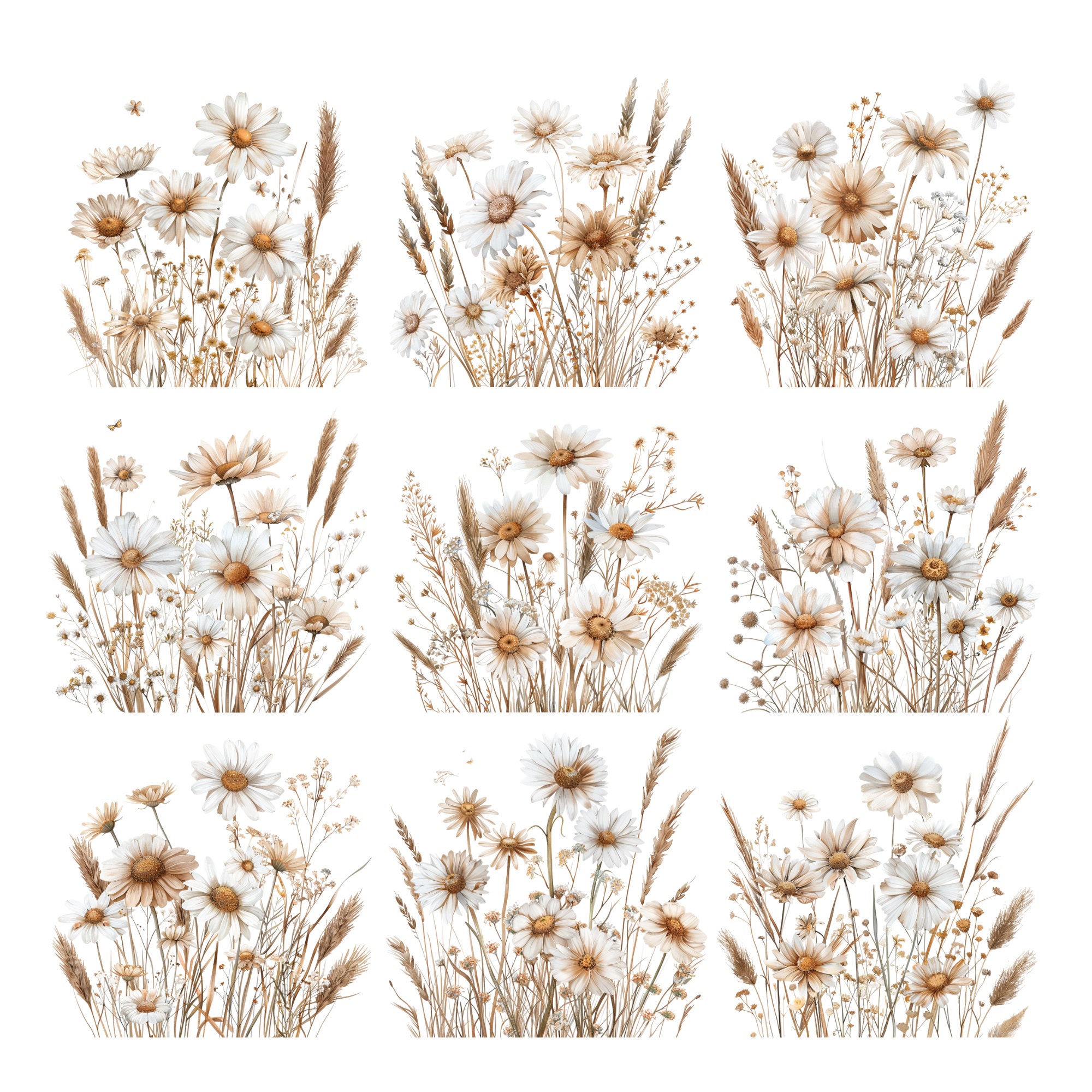 Fall Daisies Watercolor Bouquets and Borders Rustic Daisy Wildflower ...