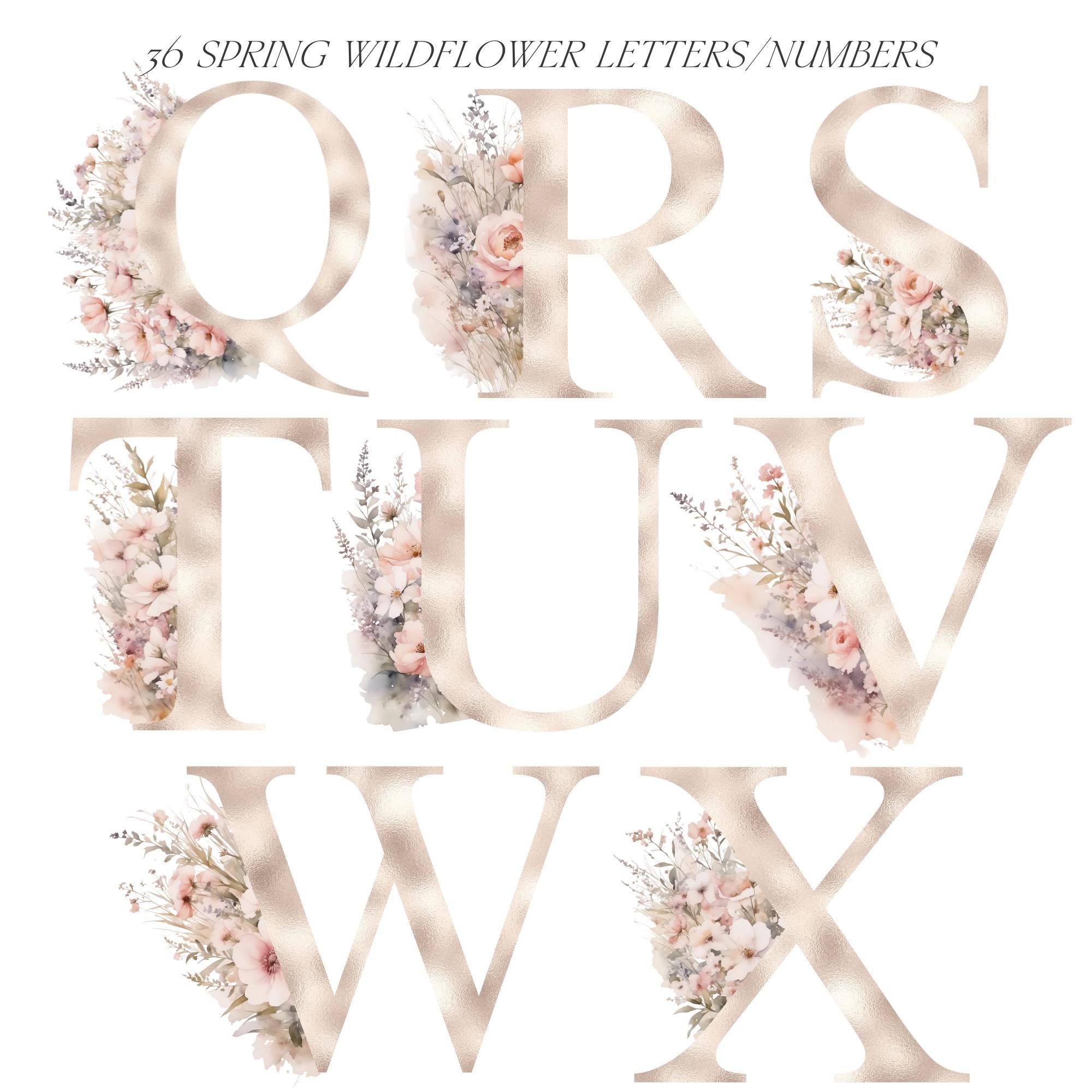 Wildflower Letters and Numbers Clipart, Floral Alphabet Pngs, Botanical ...