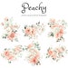 Watercolor Floral Clipart, Peach Floral Bouquets Clipart, Peach Flowers ...