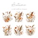 Autumn Watercolor Wildflower, Fall Wildflower Bouquets & Borders, Fall ...