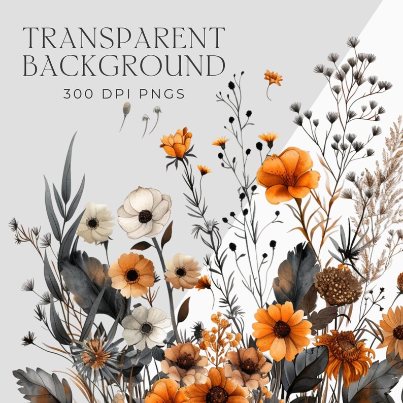 Halloween Floral Clipart Wildflowers Bouquet and Borders Elegant Orange ...