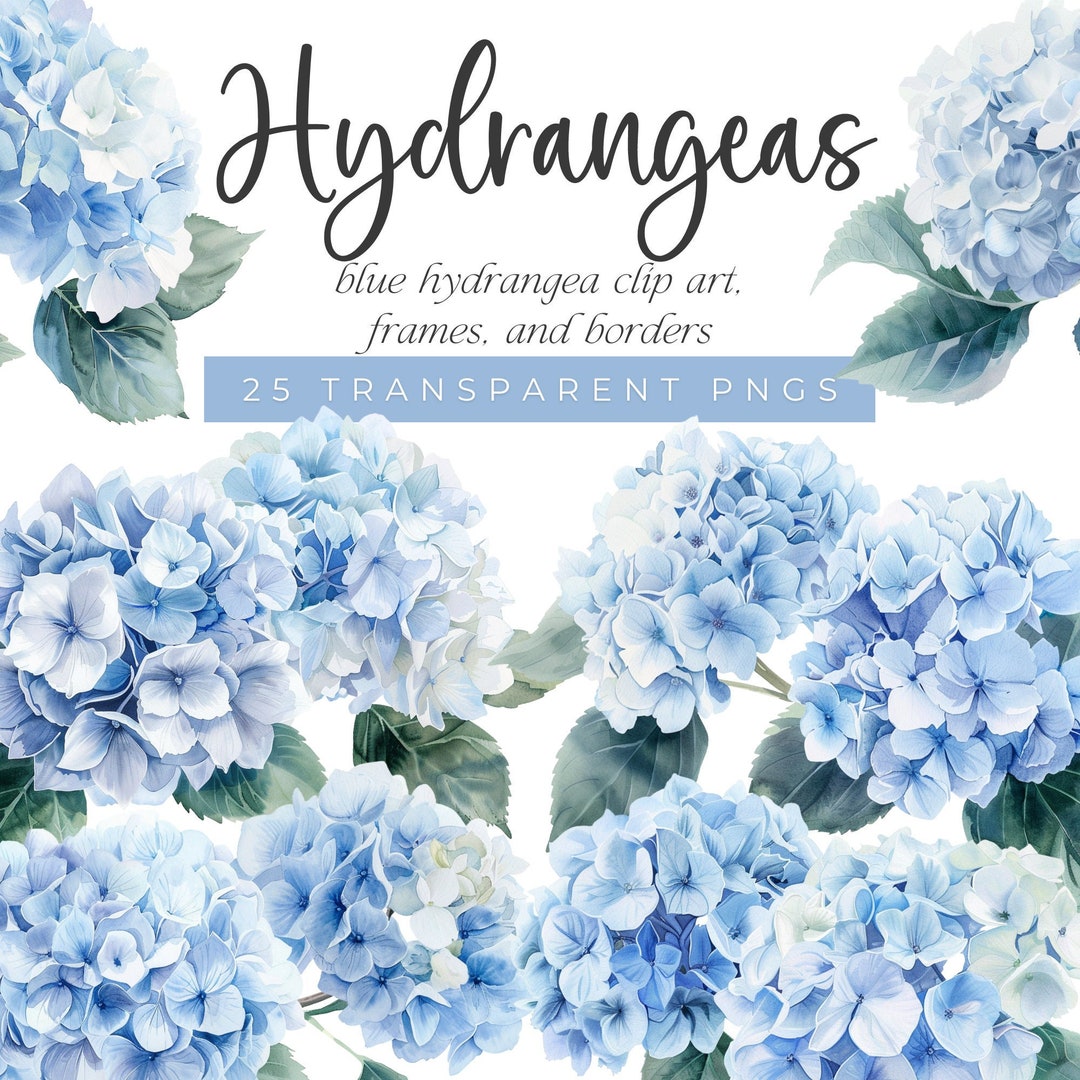 Blue Hydrangea Watercolor Floral Clipart, Hydrangea Floral Art, Blue ...