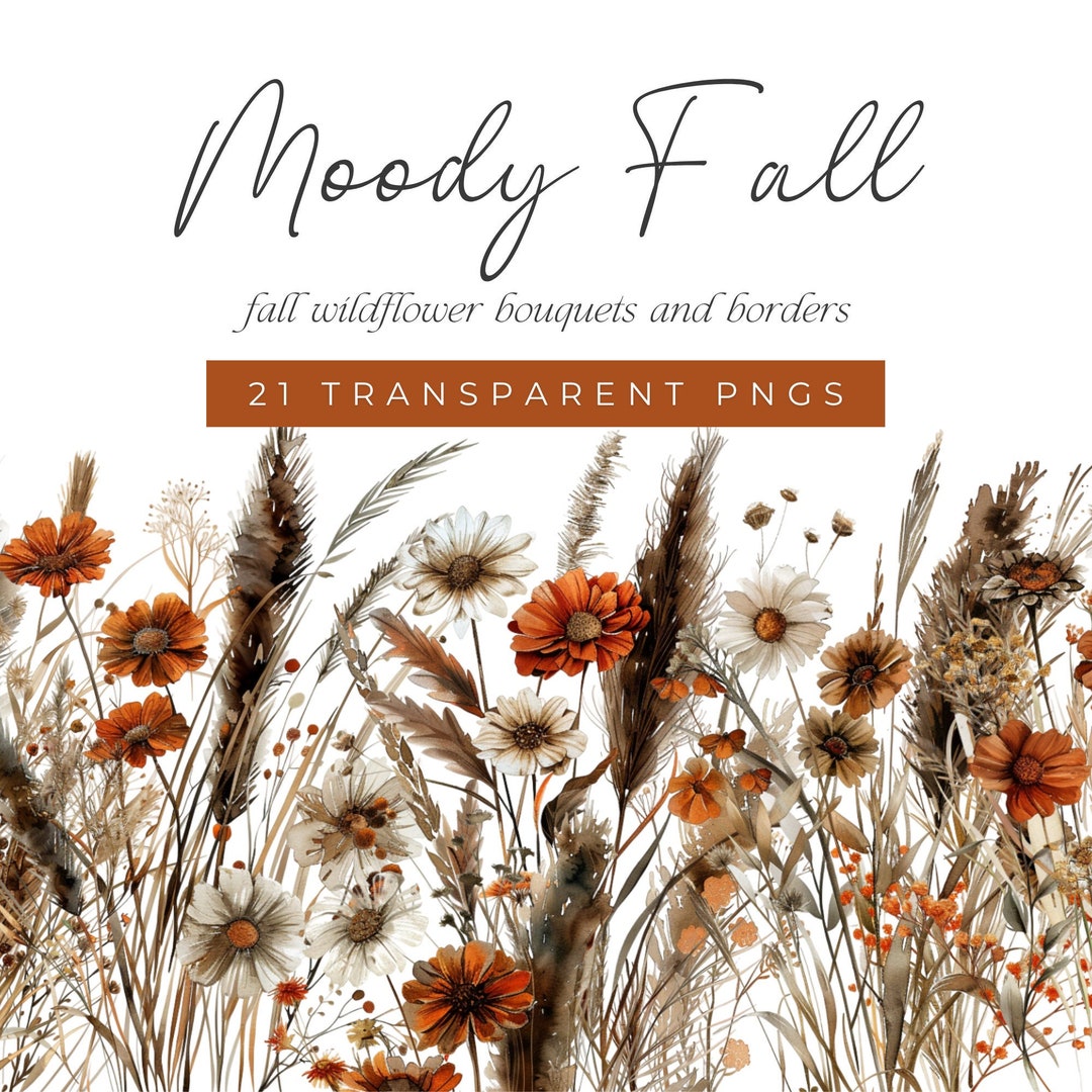 Fall Floral Clip Art, Fall Flower Pngs, Autumn Wildflowers, Fall ...