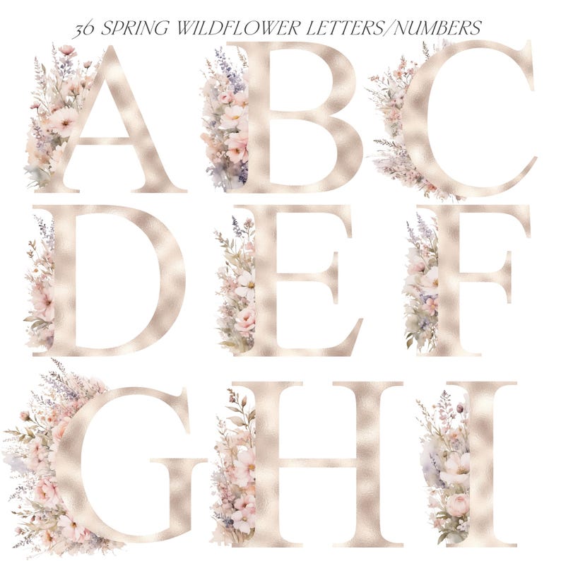Wildflower Letters and Numbers Clipart, Floral Alphabet Pngs, Botanical ...