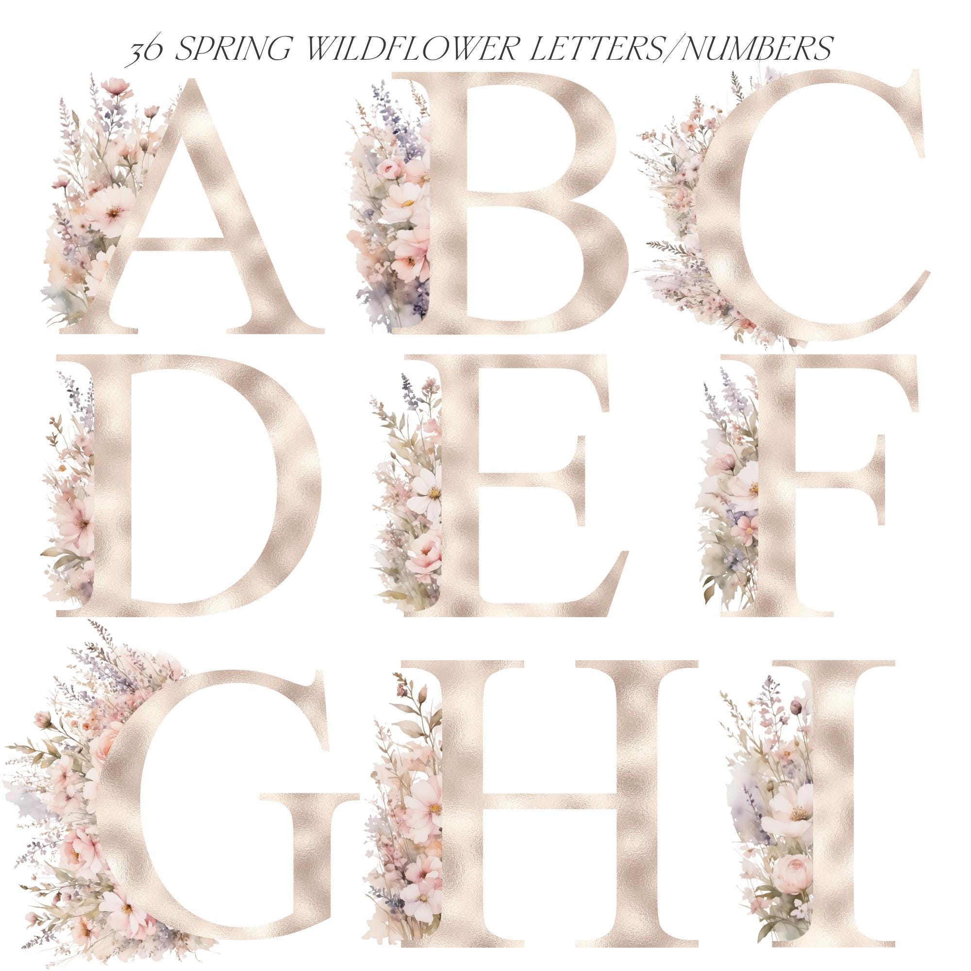 Wildflower Letters and Numbers Clipart, Floral Alphabet Pngs, Botanical ...