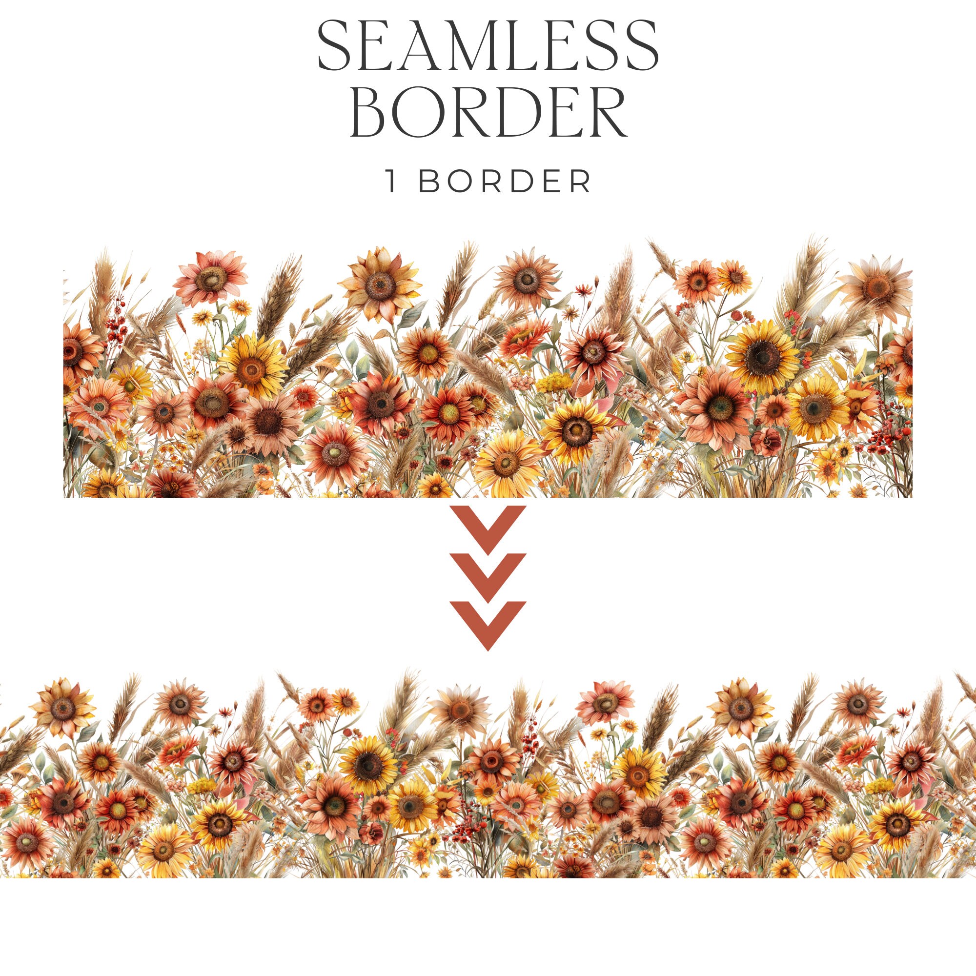 Fall Sunflower Seamless Premade Borders and Bouquets Fall Watercolor ...
