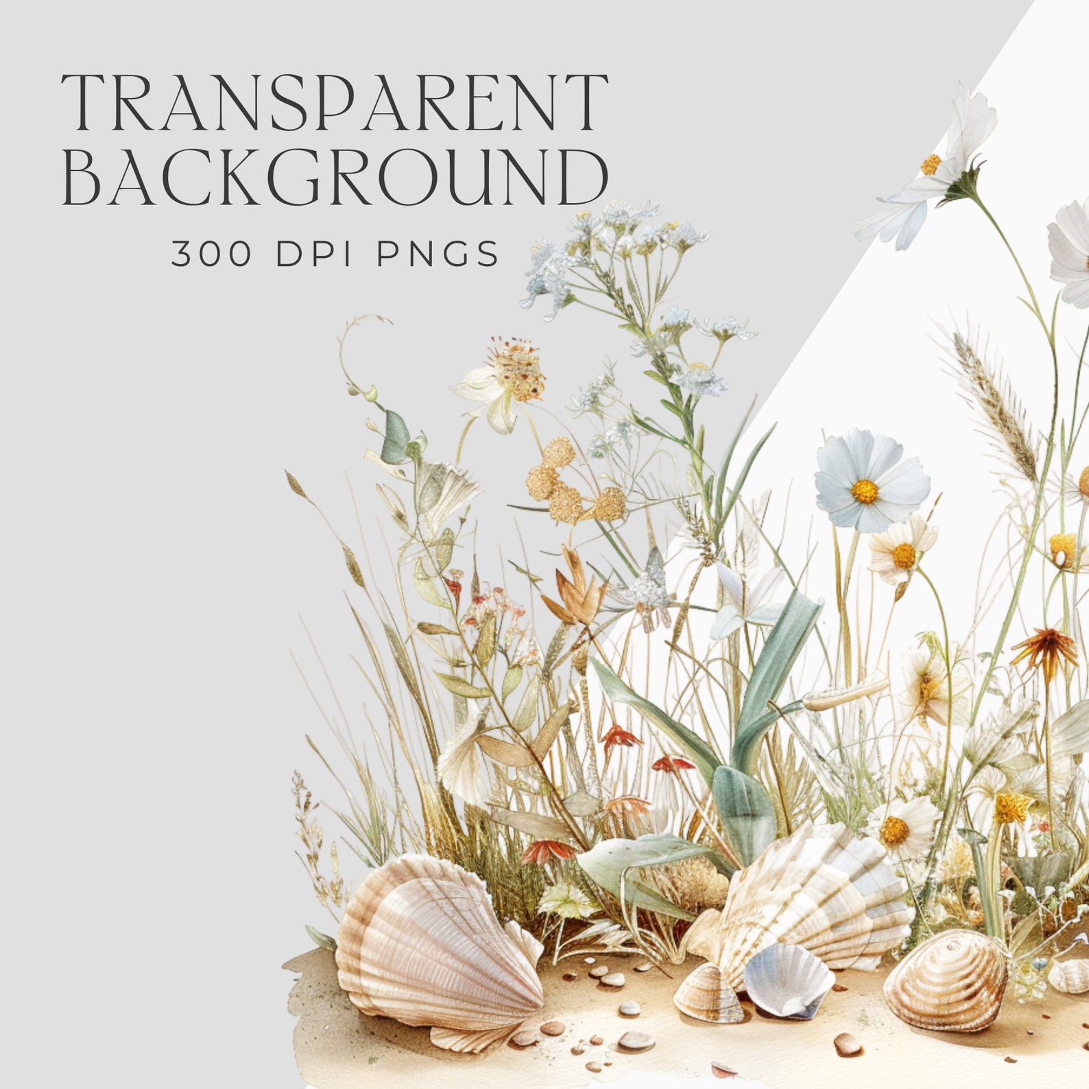 Coastal Wildflower and Seashell Clip Art, Watercolor Beach Clipart ...