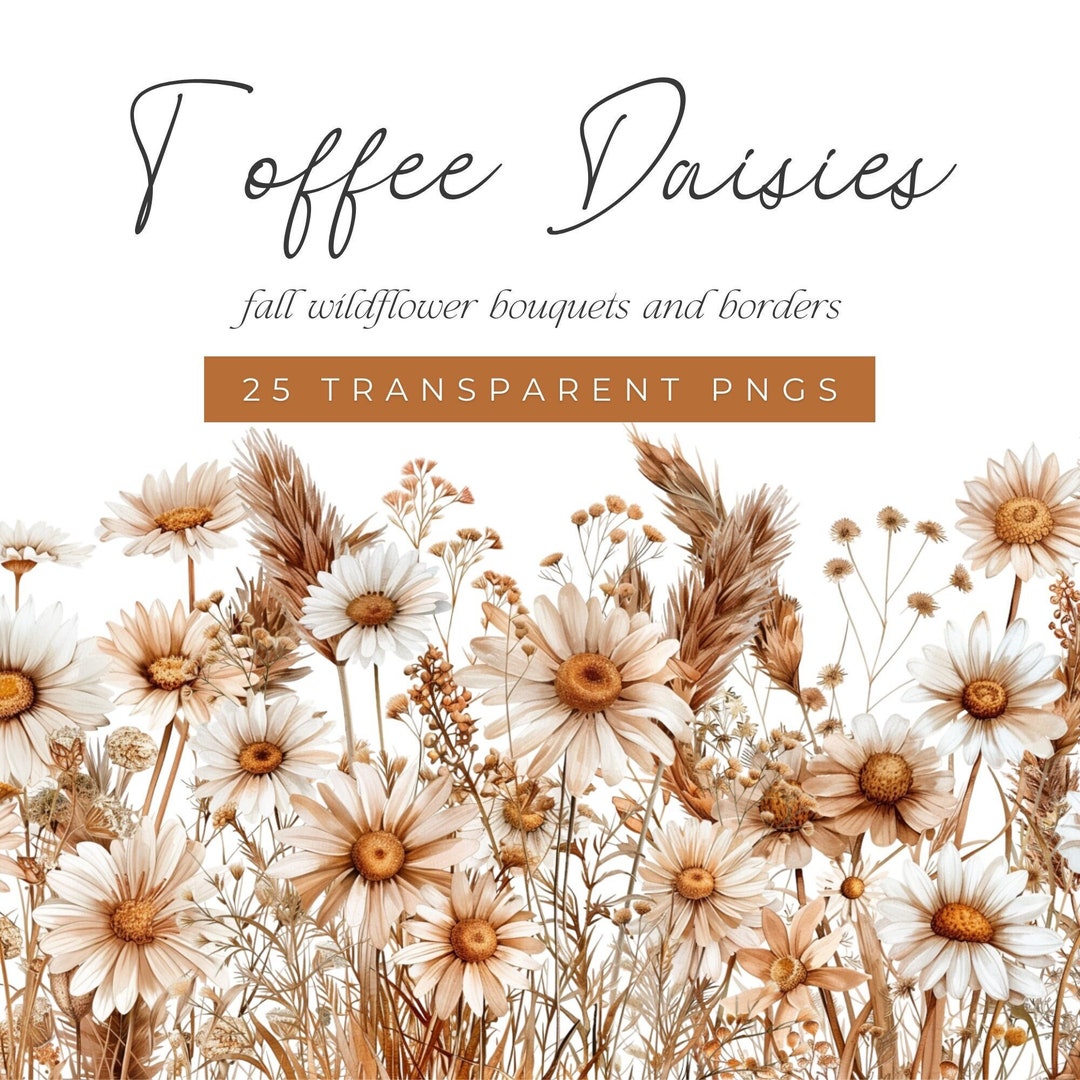 Fall Daisies Watercolor Clip Art, Daisies Bouquets and Borders, Autumn ...