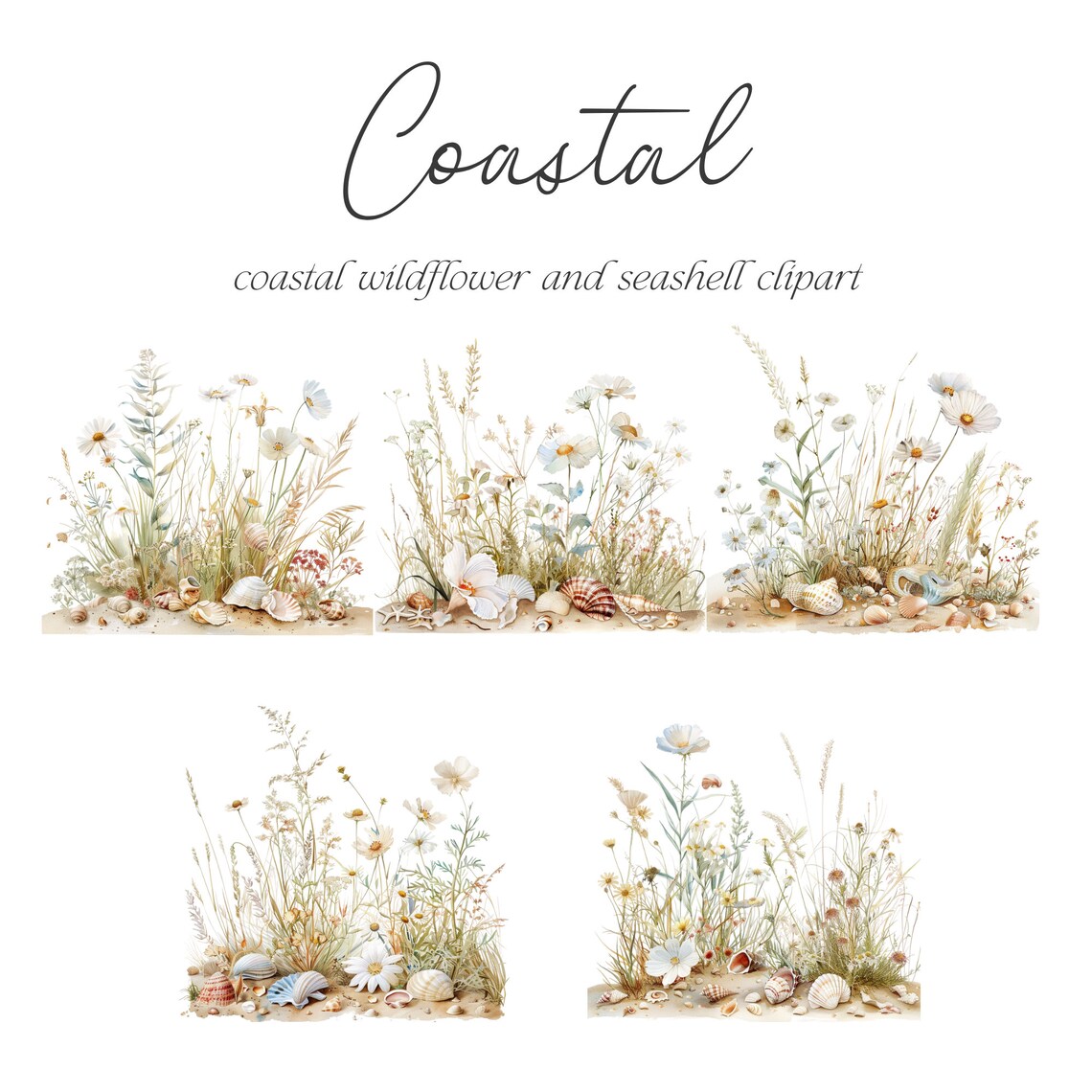 Coastal Wildflower and Seashell Clip Art, Watercolor Beach Clipart ...