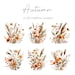 Autumn Watercolor Wildflower, Fall Wildflower Bouquets & Borders, Fall ...