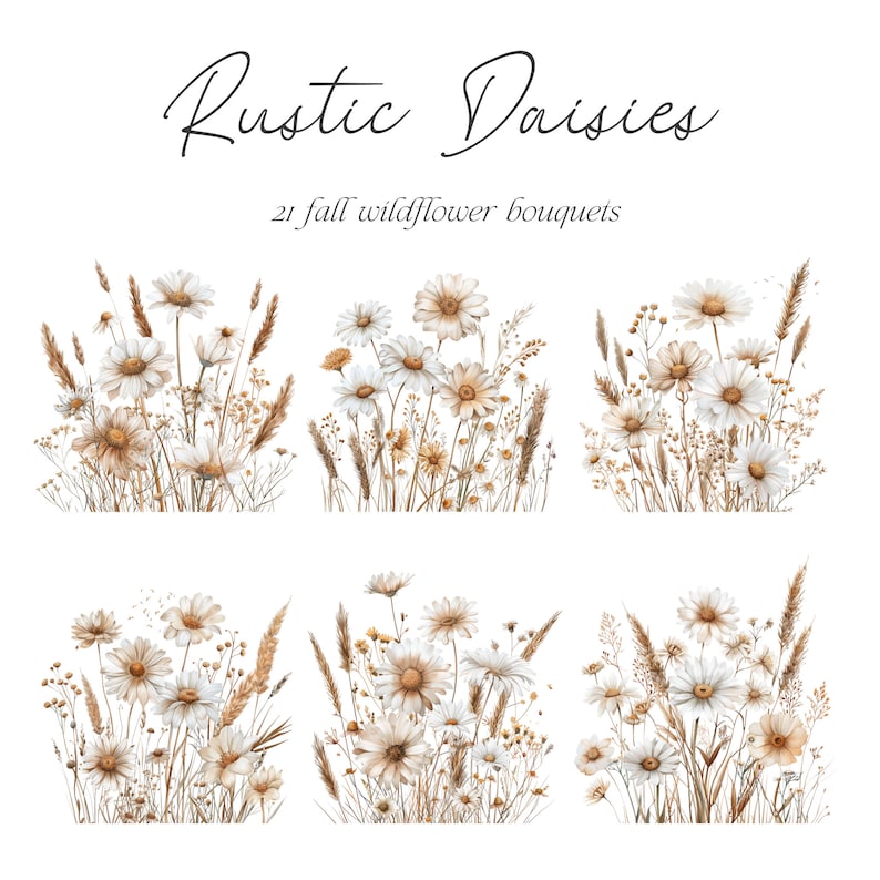 Fall Daisies Watercolor Bouquets and Borders Rustic Daisy Wildflower ...