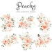 Watercolor Floral Clipart, Peach Floral Bouquets Clipart, Peach Flowers ...