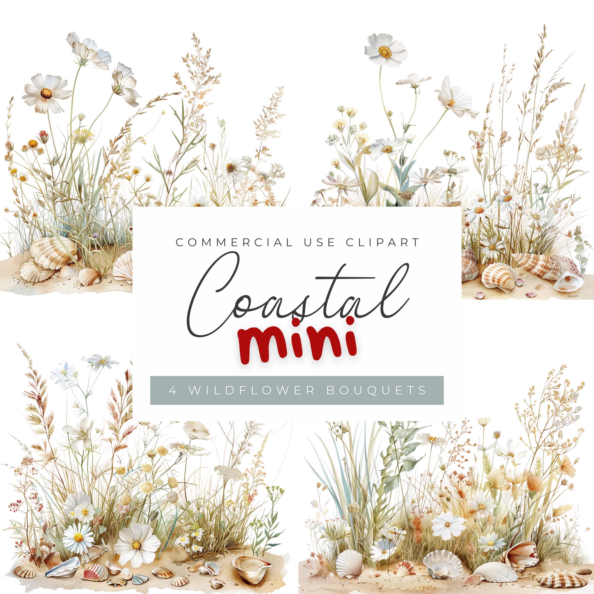 Coastal Seashell and Floral Watercolor, Coastal Wildflower and Seashell ...