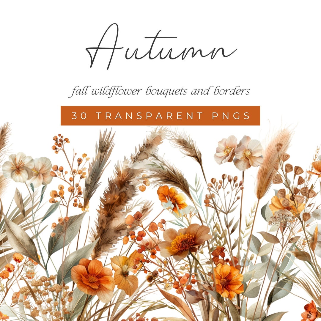 Autumn Watercolor Wildflower, Fall Wildflower Bouquets & Borders, Fall ...