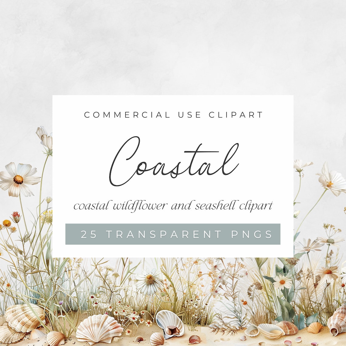 Coastal Wildflower and Seashell Clip Art, Watercolor Beach Clipart ...