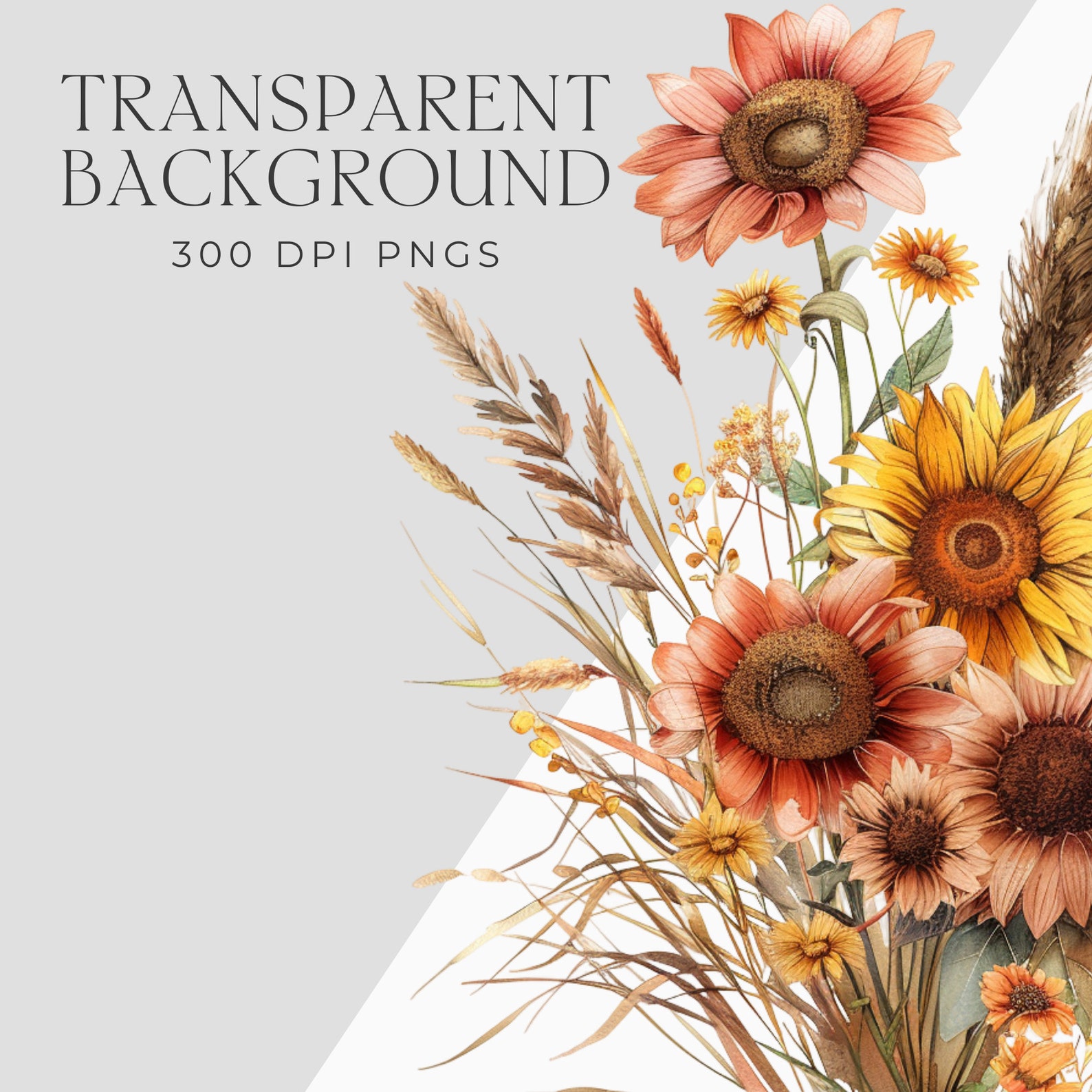 Fall Sunflower Seamless Premade Borders and Bouquets Fall Watercolor ...