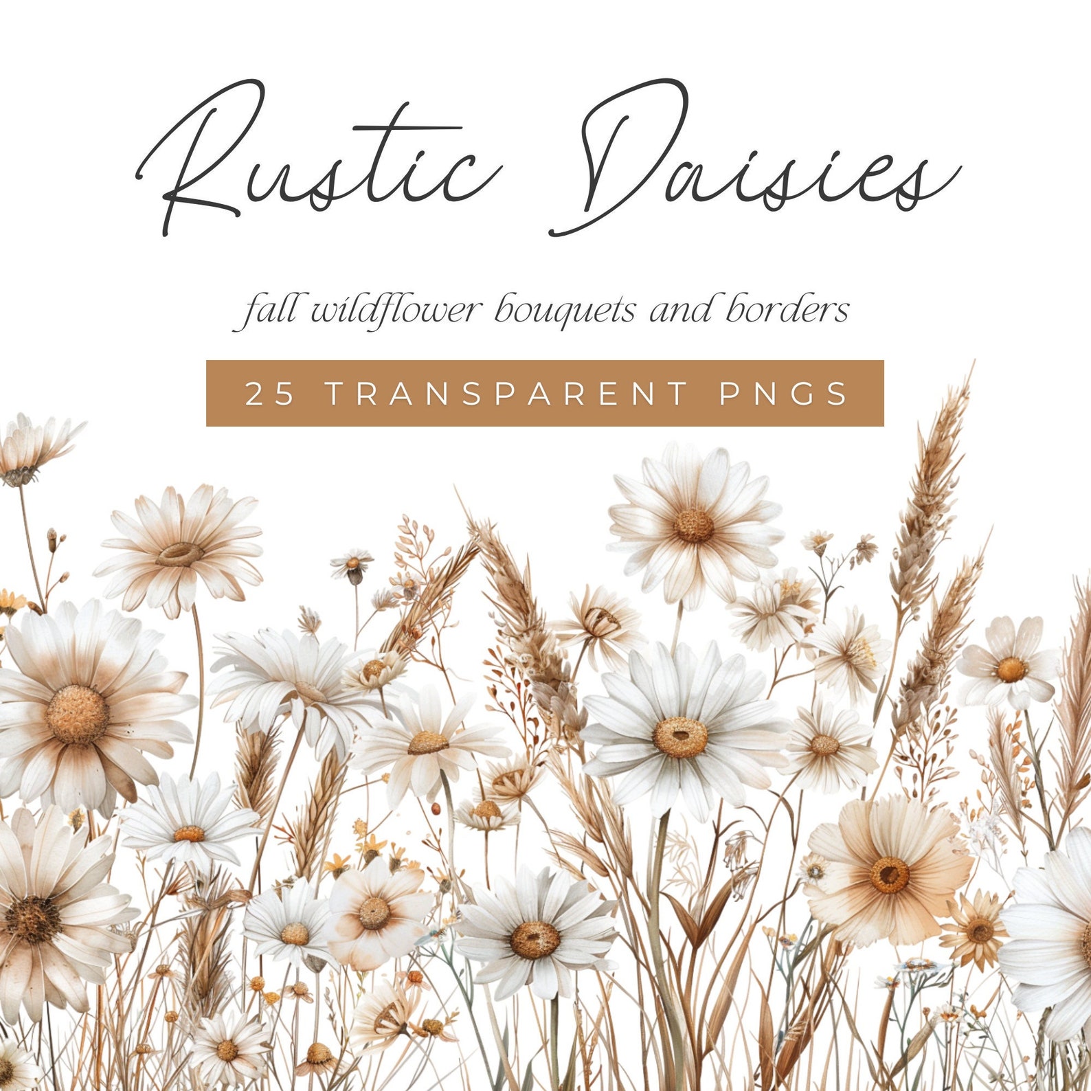 Fall Daisies Watercolor Bouquets and Borders Rustic Daisy Wildflower ...