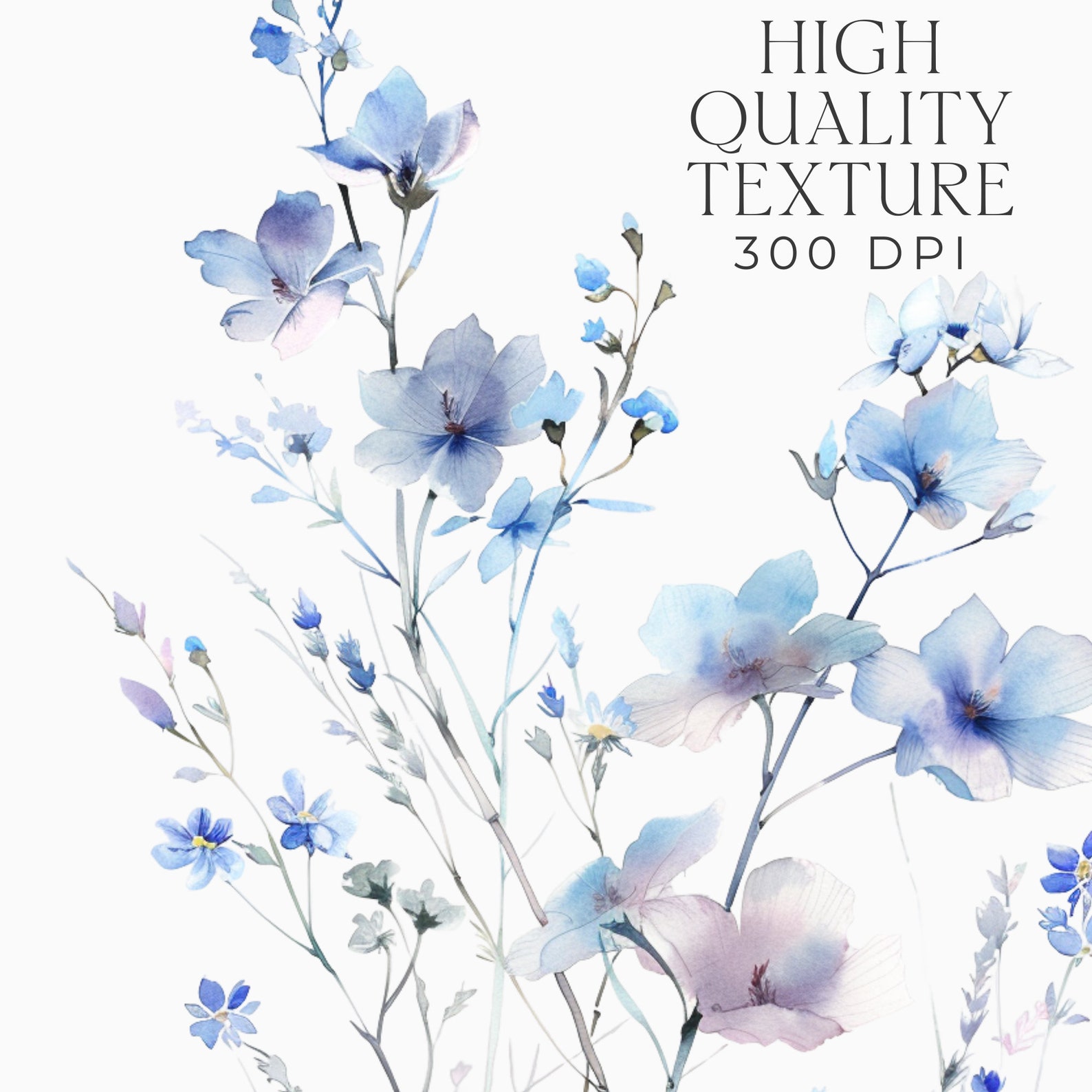 Blue Watercolor Flowers, Watercolor Florals Clipart, Wildflower Floral ...