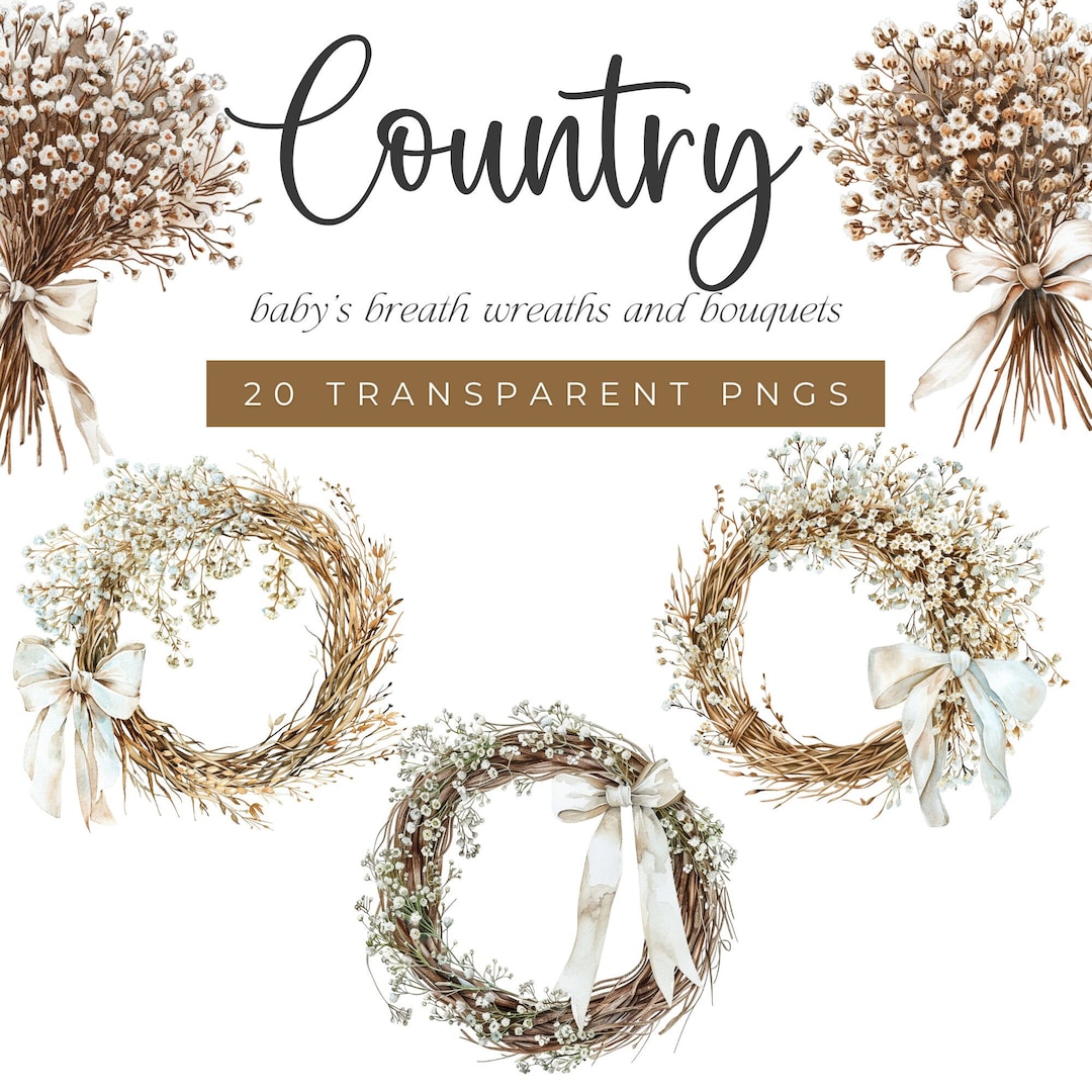 Watercolor Baby's Breath Floral Clipart, Baby's Breath Wreaths, Baby's ...