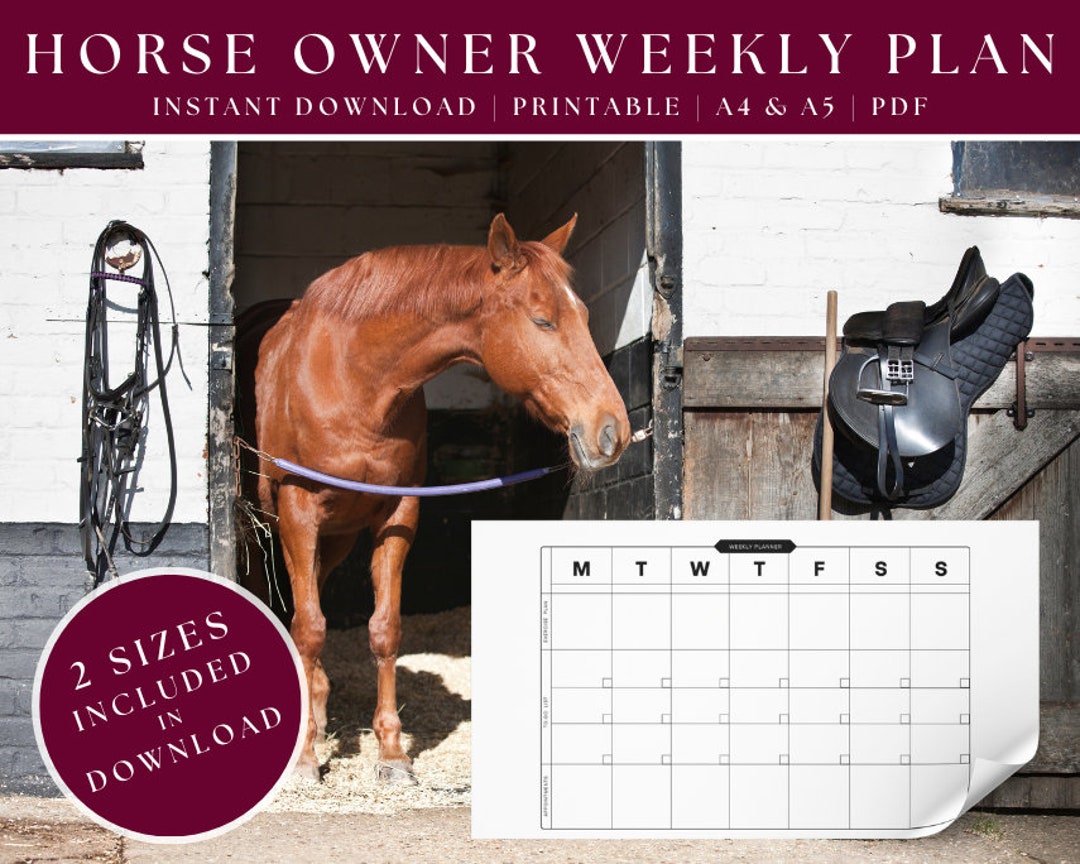 NEW Horse Owner Printable Weekly Planner Equestrian Weekly Planner A4 ...