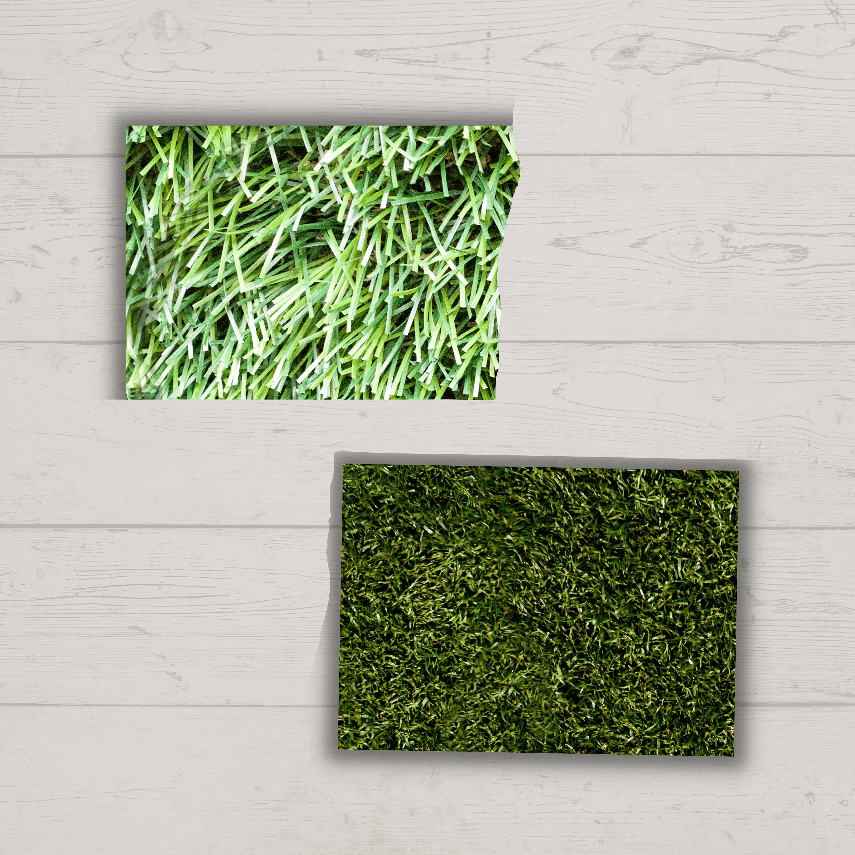 GRASS Lawn Yard Green Texture Seamless Digital Papers, Digital ...