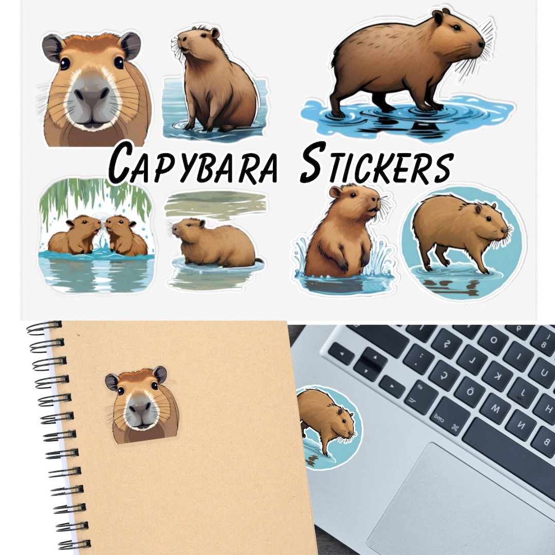 Capybara Stickers, Set of 7 - Etsy