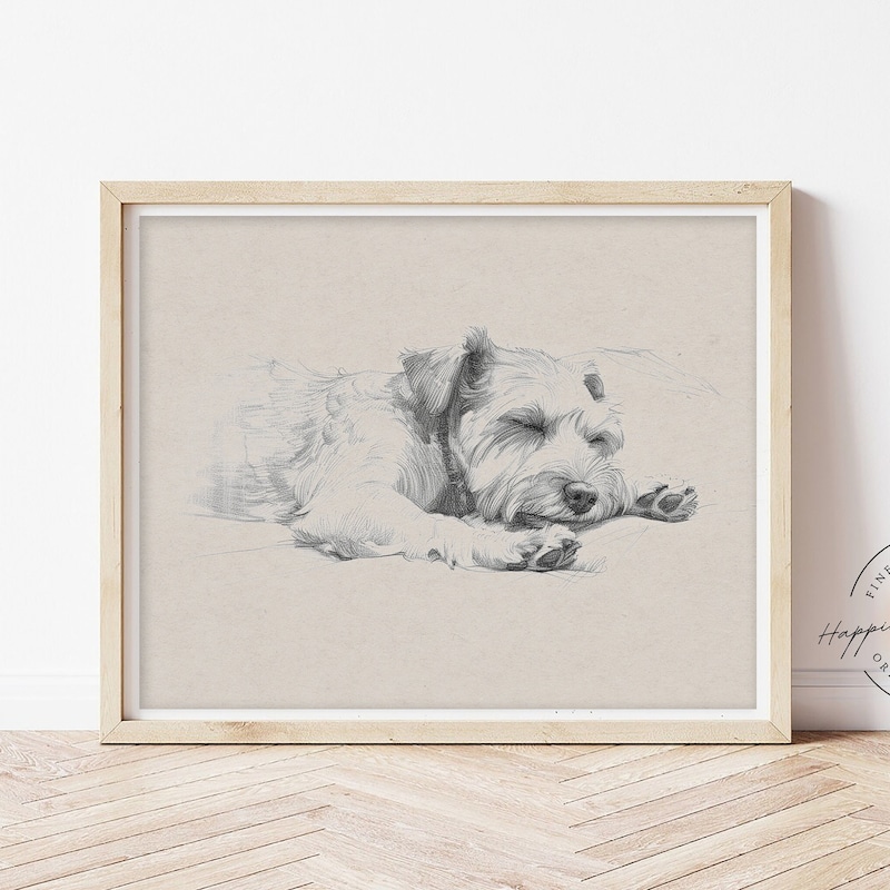 Schnauzer Art Print - Etsy