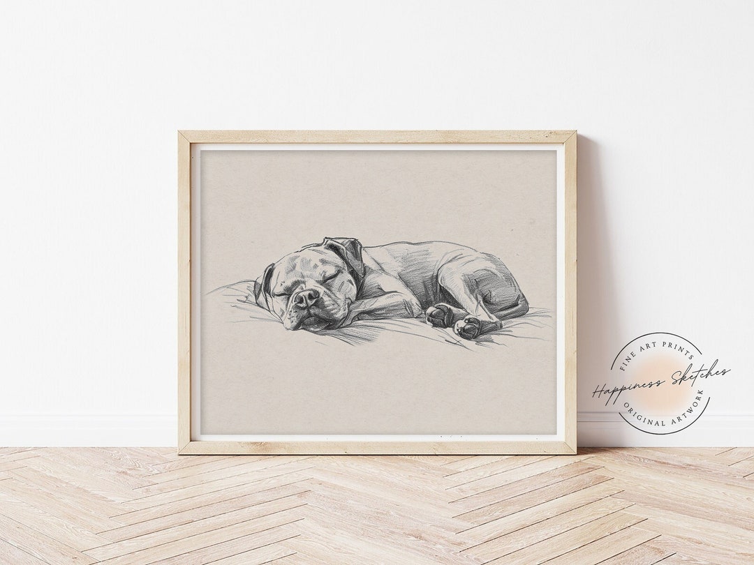 Staffordshire Bull Terrier Print: Sleeping Staffy Sketch Poster - Etsy