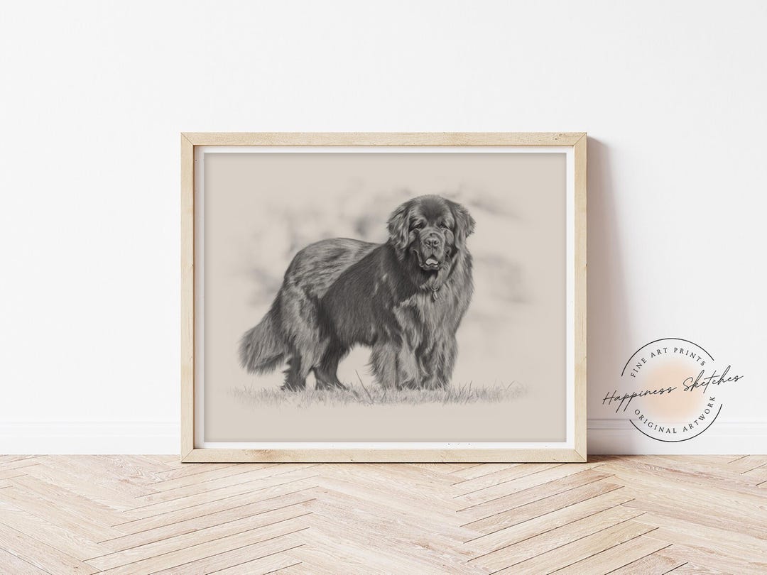 Newfoundland Dog Sketch - Minimalist Art Print, Rustic Wall Decor - Etsy