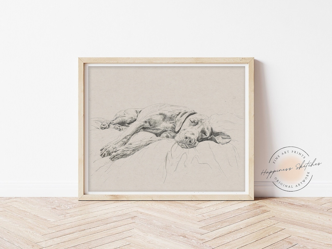 Vizsla Drawing Wall Art Print, Dog Sketch Poster, Rustic Canvas Sign ...