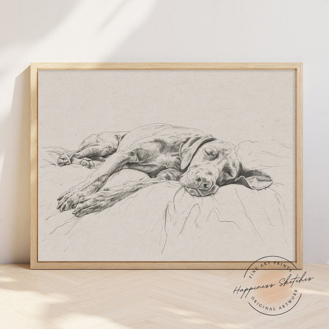 Vizsla Drawing Wall Art Print, Dog Sketch Poster, Rustic Canvas Sign ...