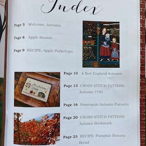 Pattern Booklet Frost on the Pumpkin Autumn Stitching Pattern Book - Etsy