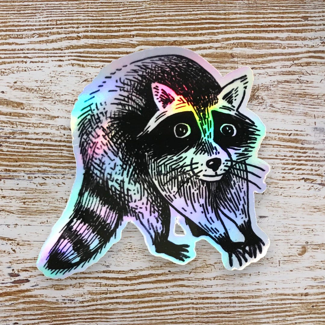 Holographic Raccoon Sticker, Holographic Sticker Racoon, Drawing ...