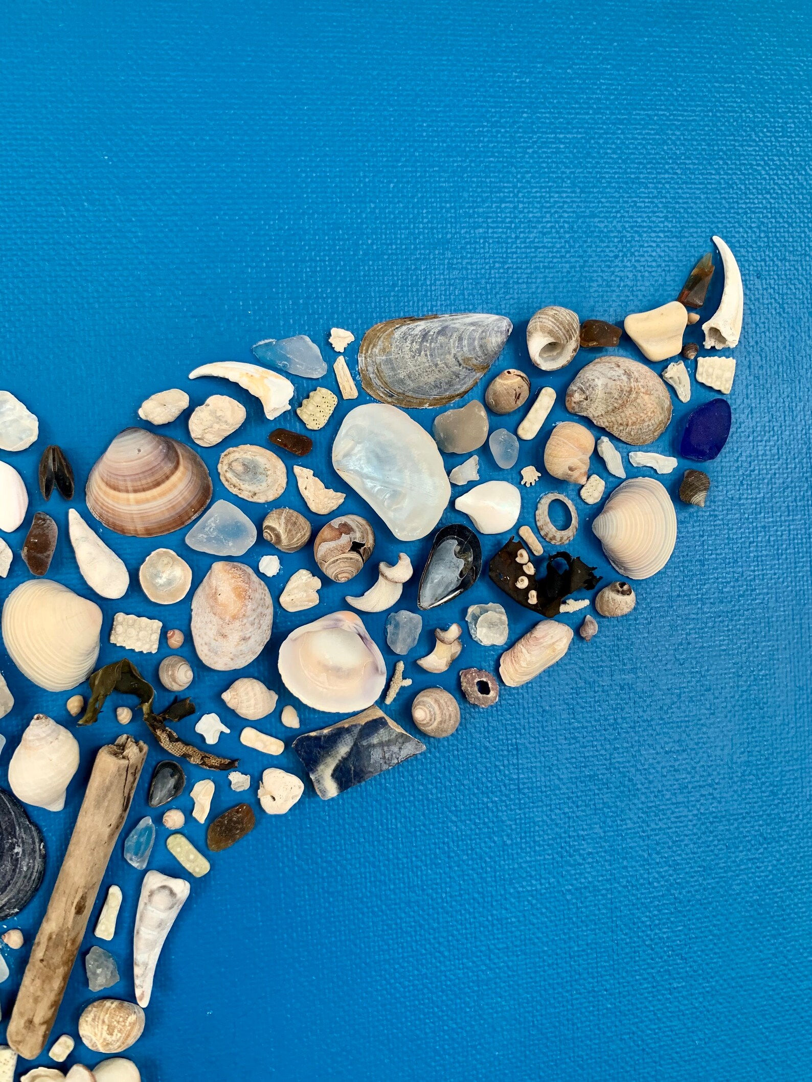 Coastal Whale Tail, Coastal Art, Shell Art, Beach Decor, Coastal Gift ...