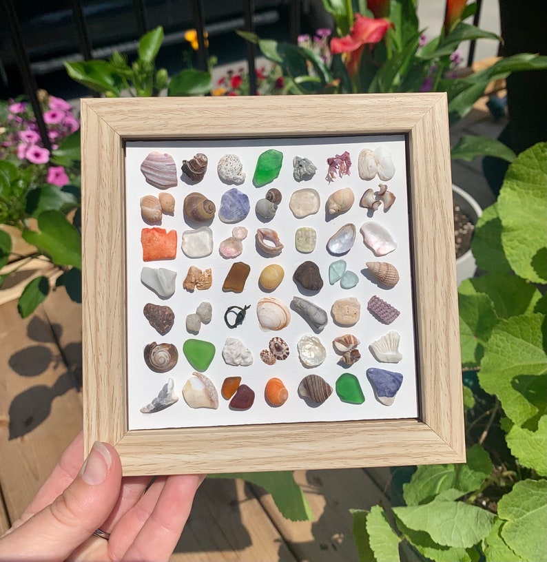 Mini Grids, Little Coastal Beach Treasures, Shell Art, Beach Decor ...