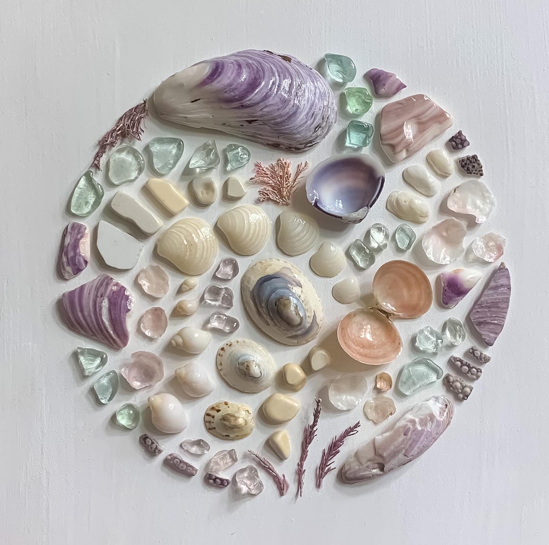 Pink, Purple, & Aqua, Coastal Beach Shell Art, Pastels Art, Beach Decor ...