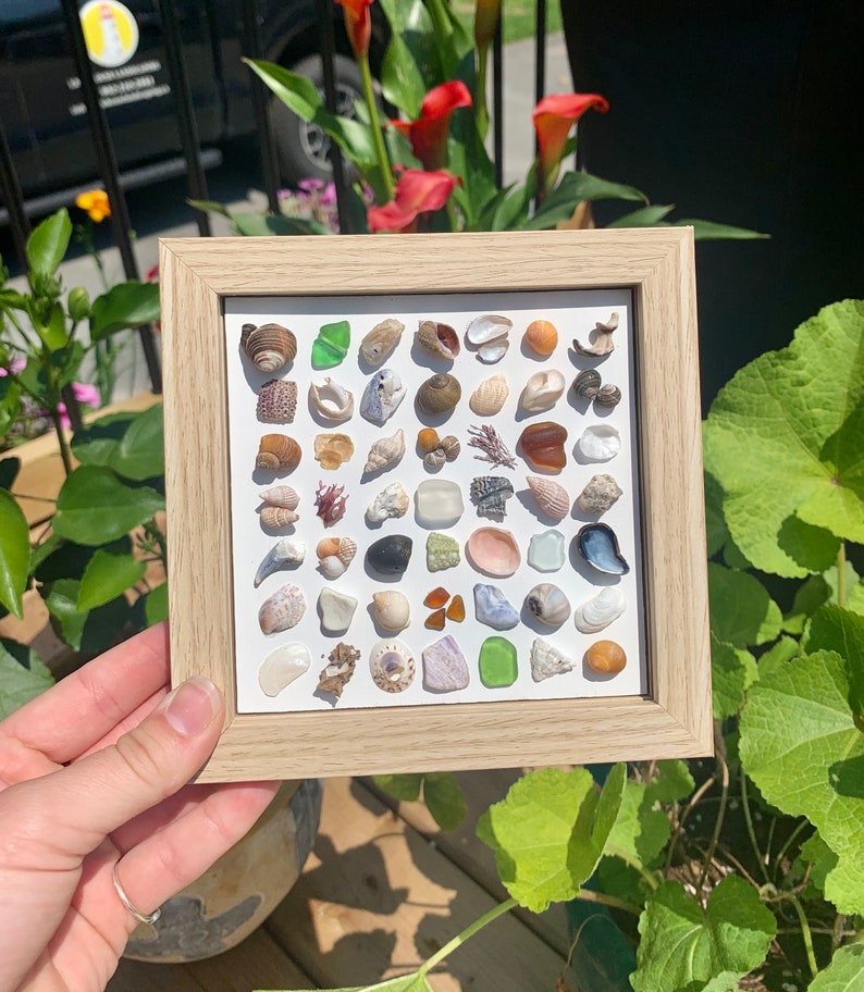 Mini Grids, Little Coastal Beach Treasures, Shell Art, Beach Decor ...