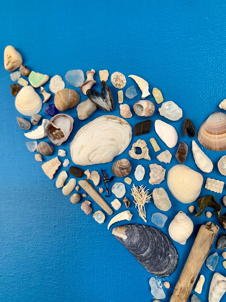 Coastal Whale Tail, Coastal Art, Shell Art, Beach Decor, Coastal Gift ...