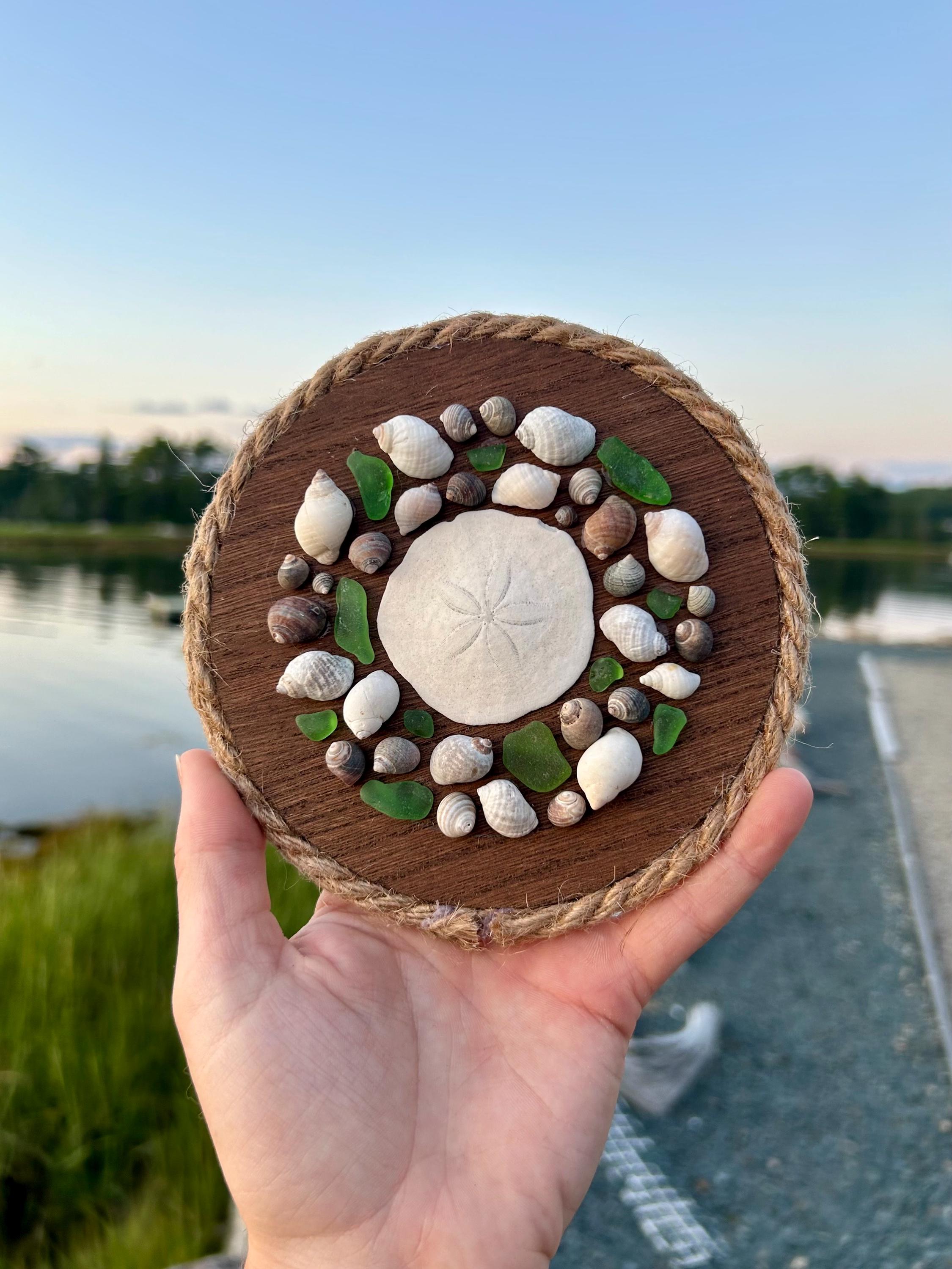 Coastal Sand Dollars, Circular Shell Art, Beach Decor Wall Hanging ...