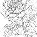 Printable Adult Flower Coloring Book | Stress Relief/relaxation ...
