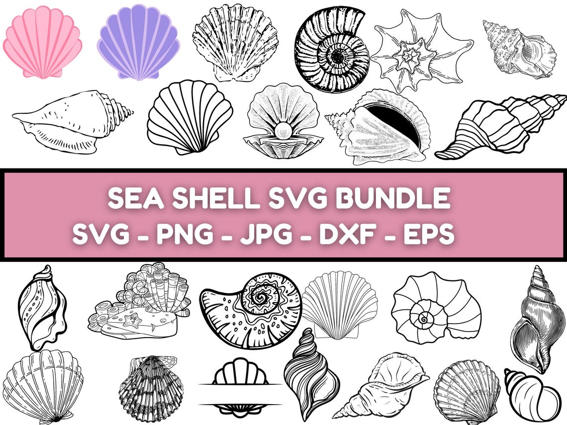 Seashell SVG Bundle, Seashell PNG Bundle, Seashell Clipart, Seashell ...
