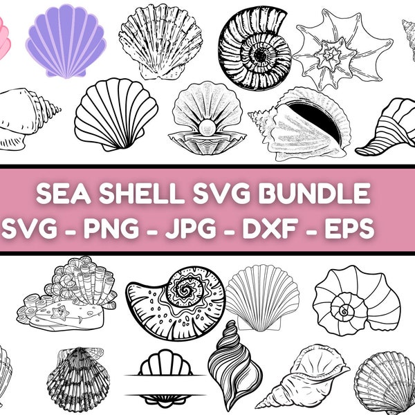 Shell Svg - Etsy