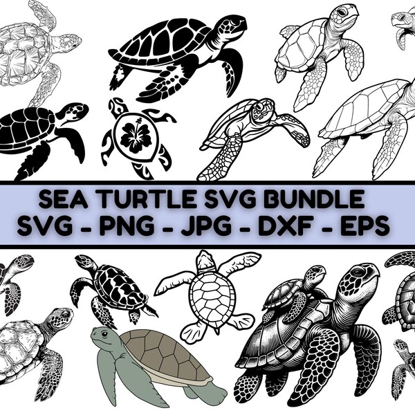Turtle Svg - Etsy
