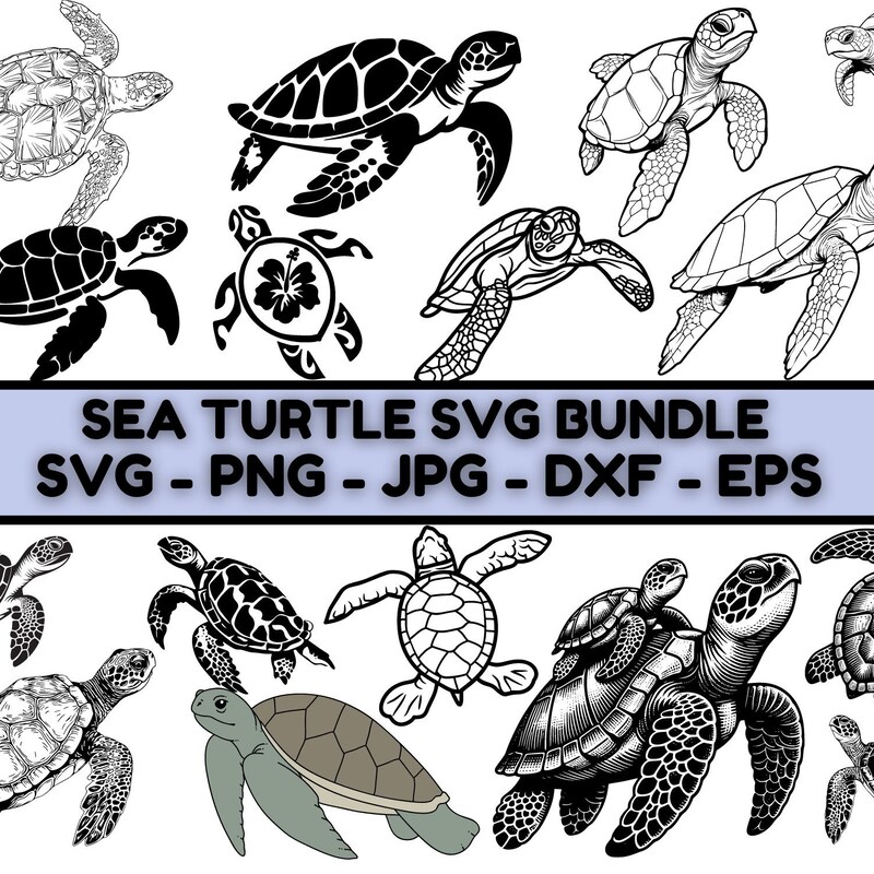 Sea Turtle Svg - Etsy