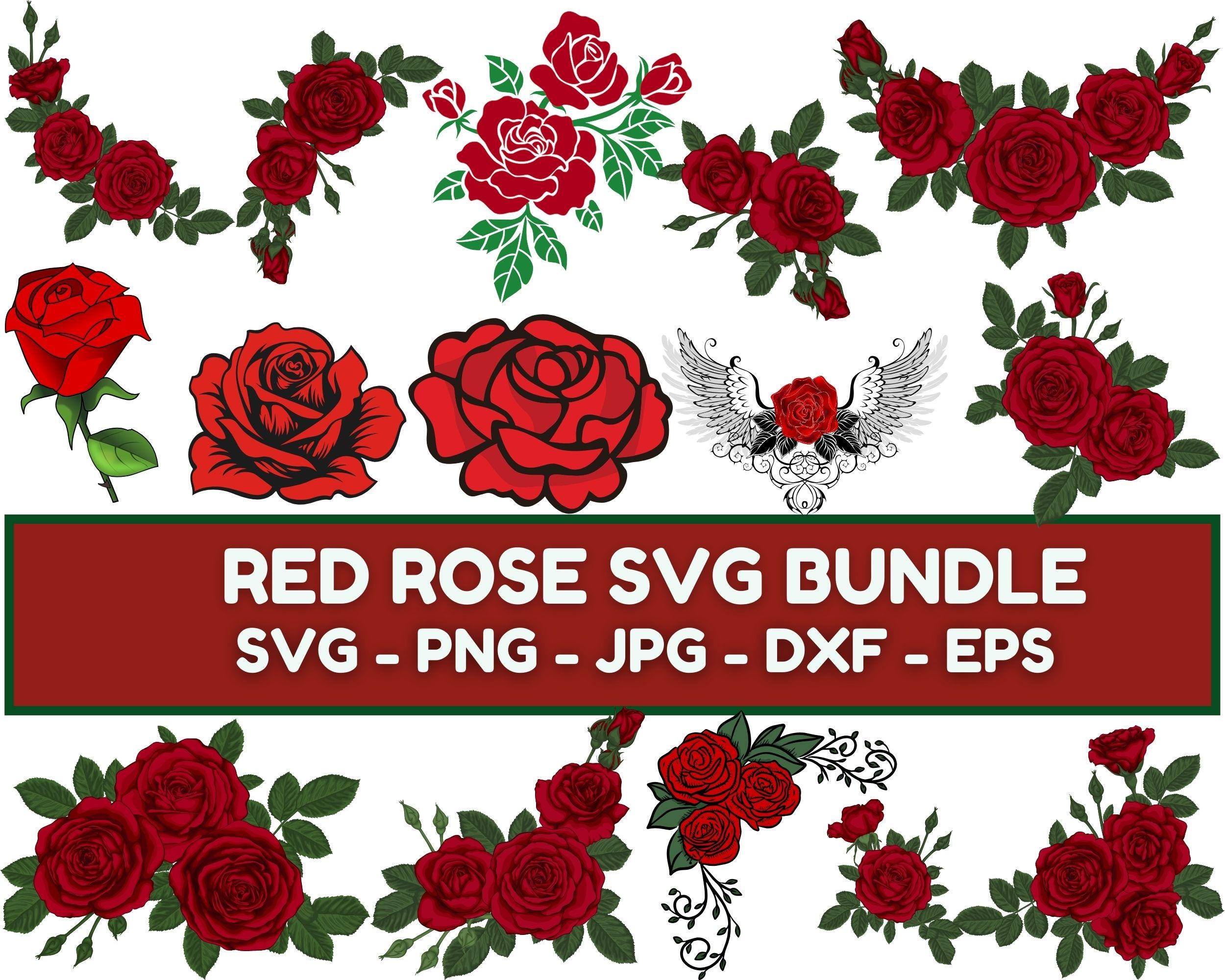 Clipart de rosa roja / Svg de rosa roja / Paquete de svg de rosa / Png ...