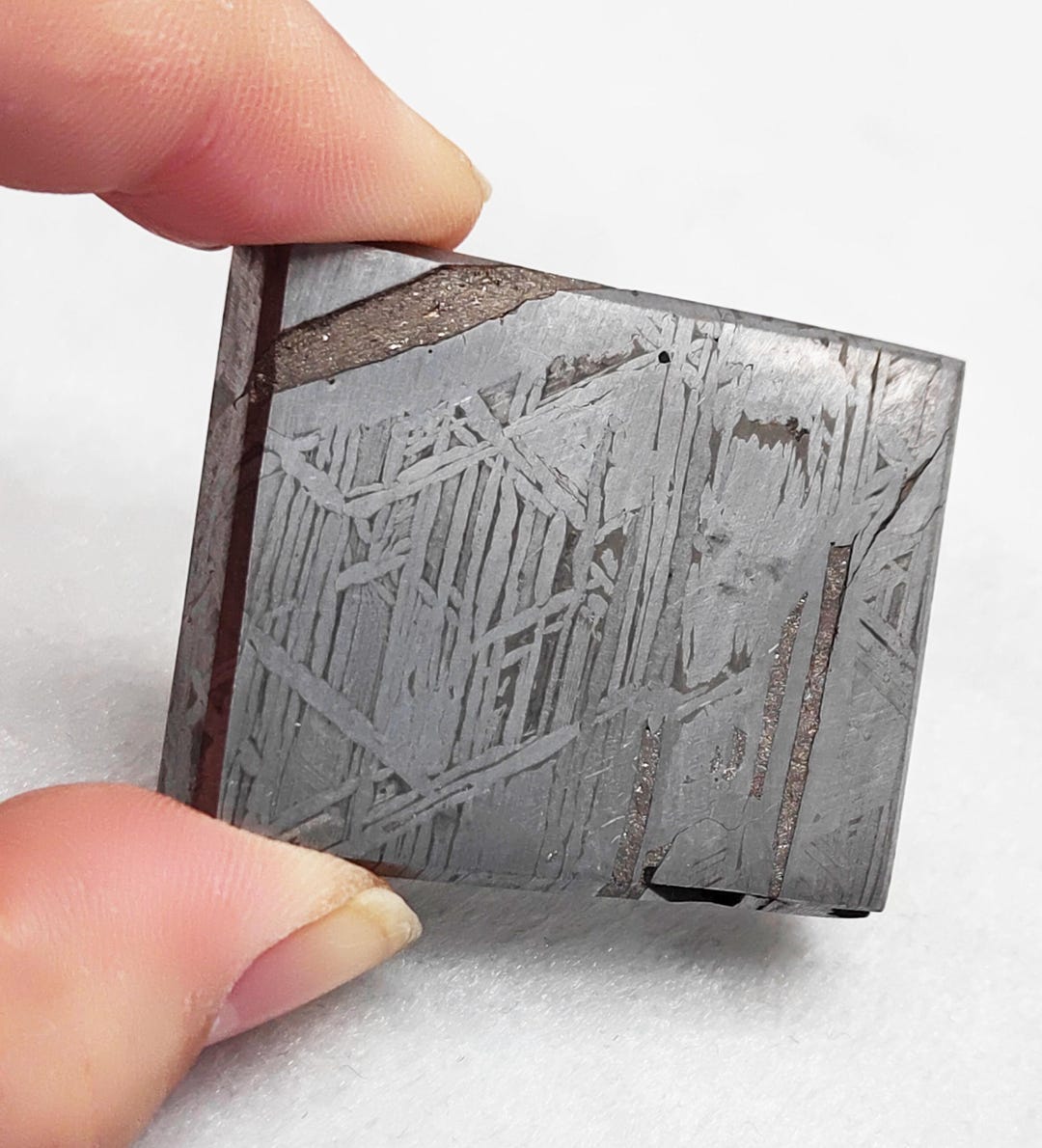 120.4g Muonionalusta Meteorite, Rare Iron Meteorite Fragment ...