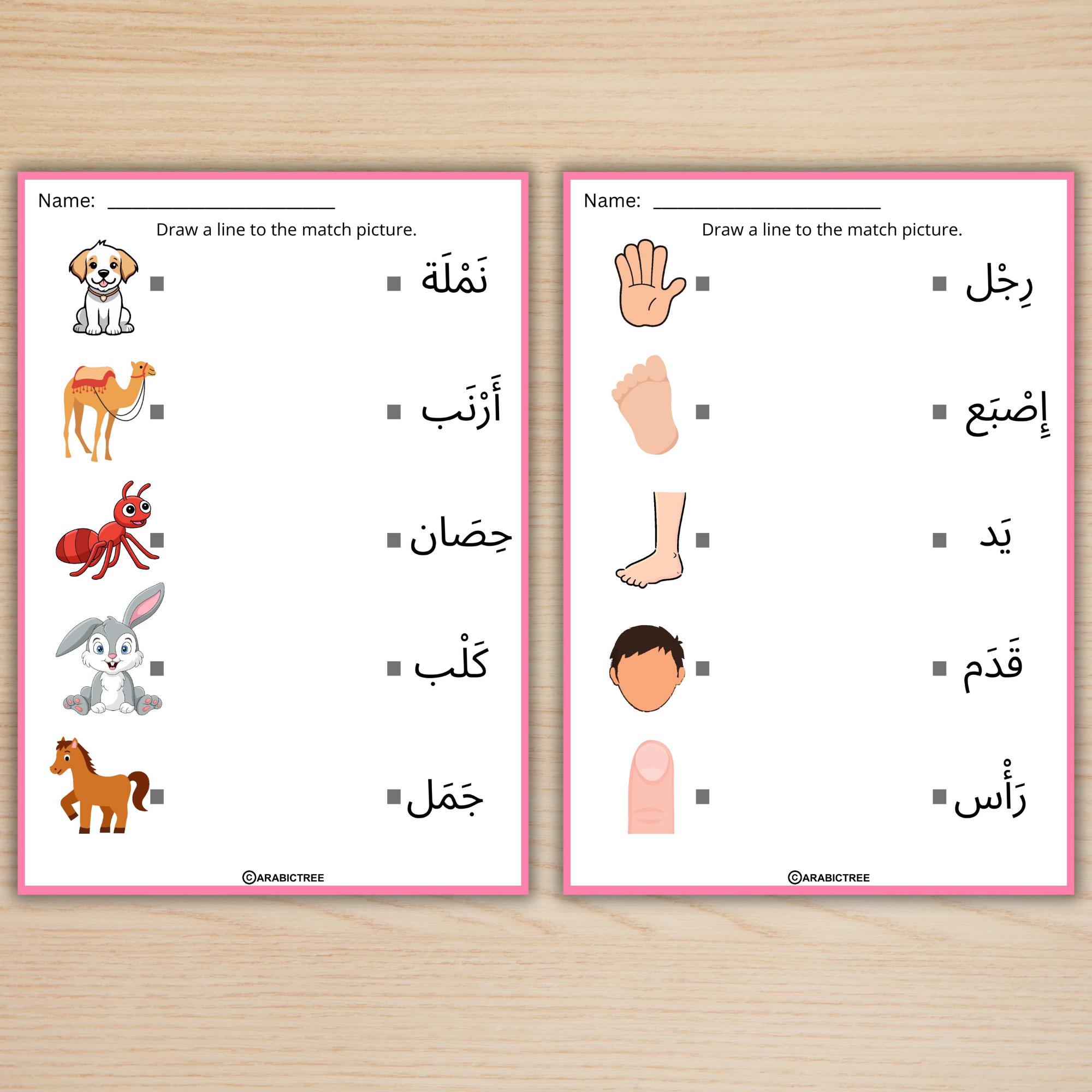 Arabic Matching Worksheets Printable Words Writing Learning Tracing ...