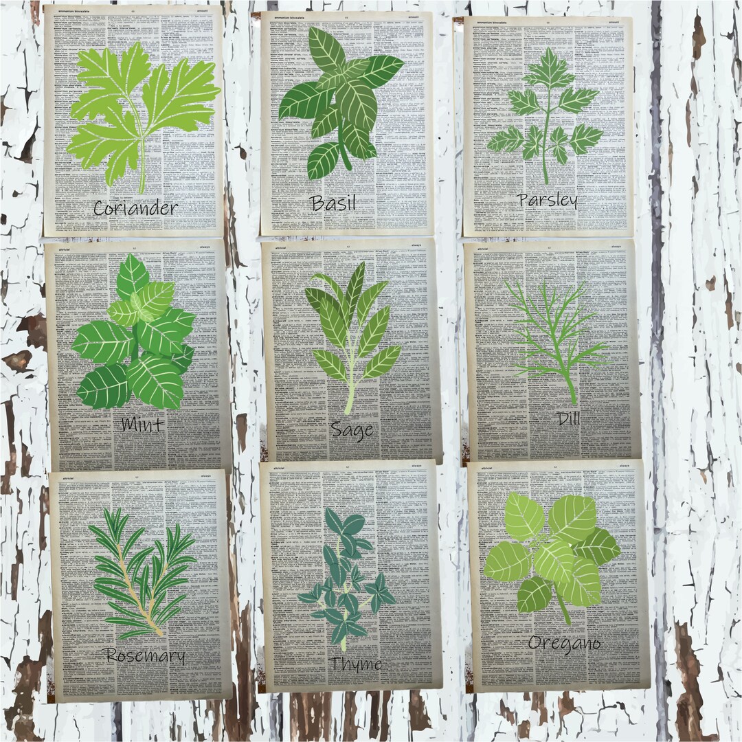 Herb Themed Dictionary Art Prints Vintage Herb Home Decor Kitchen Wall Art Gift for Foodie Gift ...